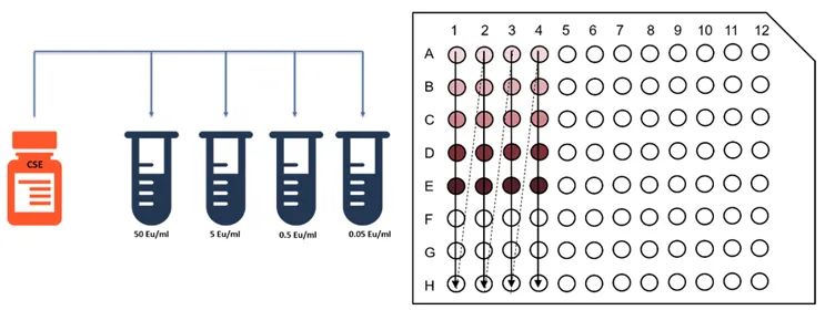 未来 QC 实验室的自动化工作流程：内毒素检测 - 上海宸鸿生物技术有限公司