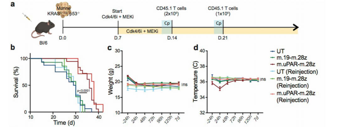 万病或皆可CAR--CAR T细胞疗法已进军自身免疫、代谢类等疾病领域 - 上海宸鸿生物技术有限公司